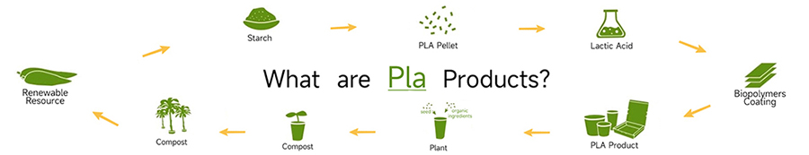 Biodegradable & Compostable PLA coated paper - eSUN Bio PLA ...